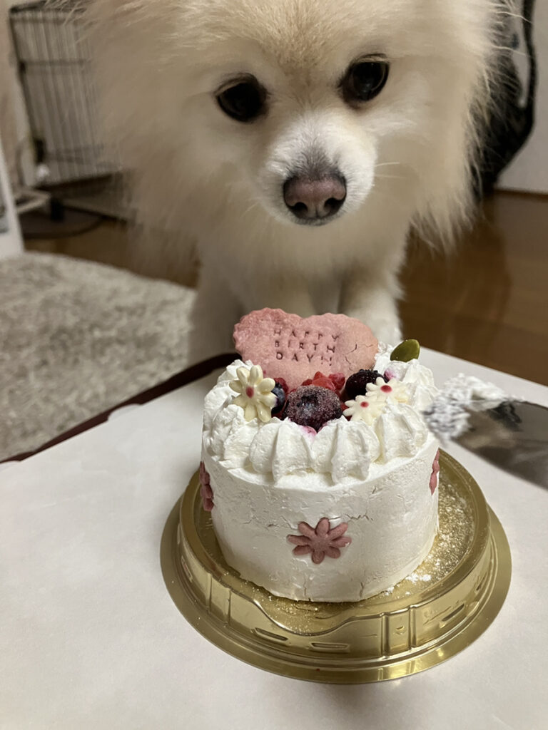 誕生日おめでとう！ ～モモちゃん日記～ – ORINAS [オリナス / 三洋住宅]